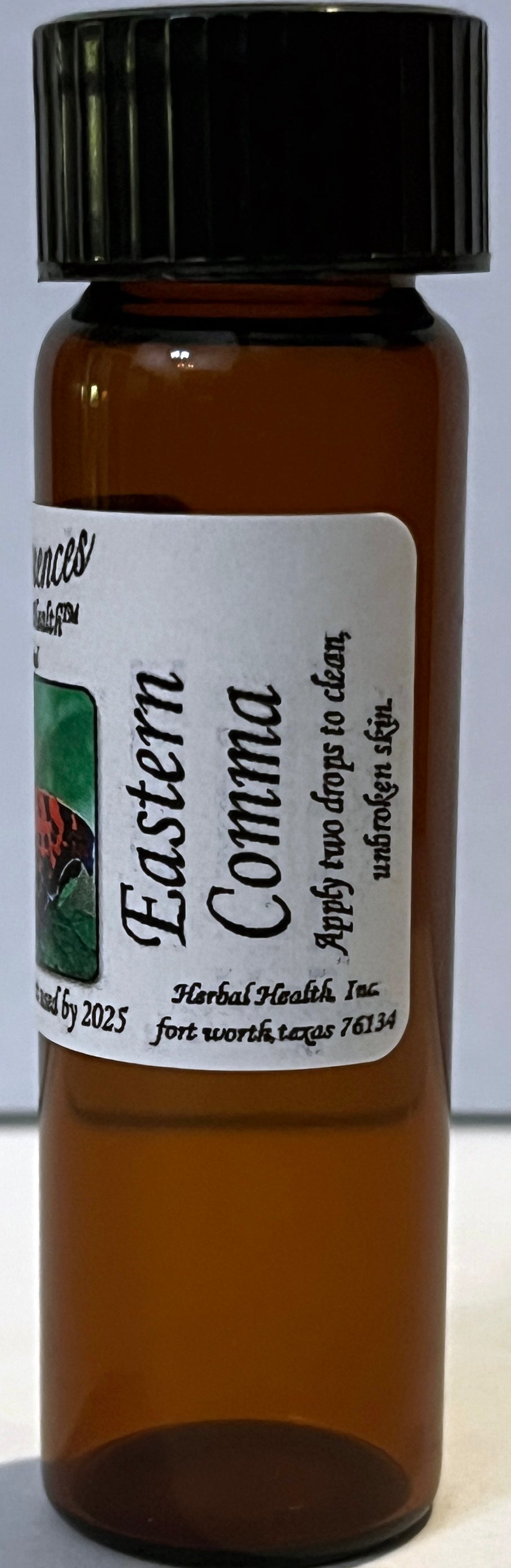 Eastern Comma (Polygonia comma)– Aroma Health Texas