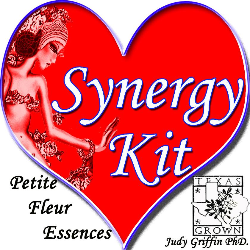 Synergy Kit– Aroma Health Texas