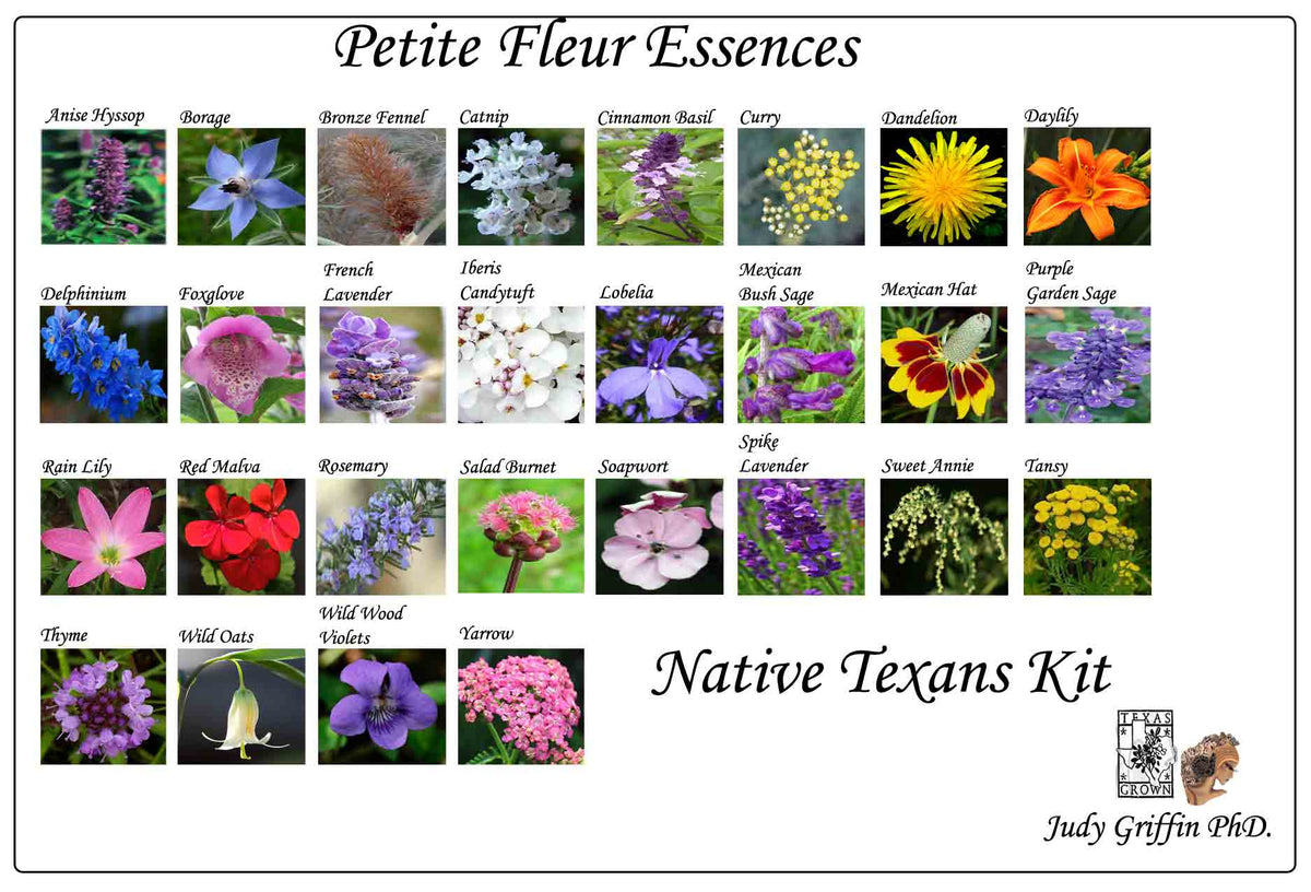 A Native Texans Kit– Aroma Health Texas