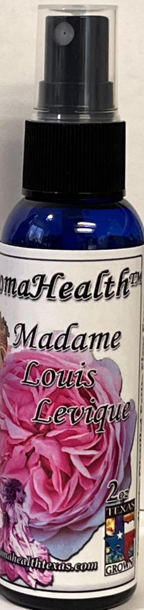 Madame Louis Levique Antique Rose Essence, Rosa centifolia mucosa ...