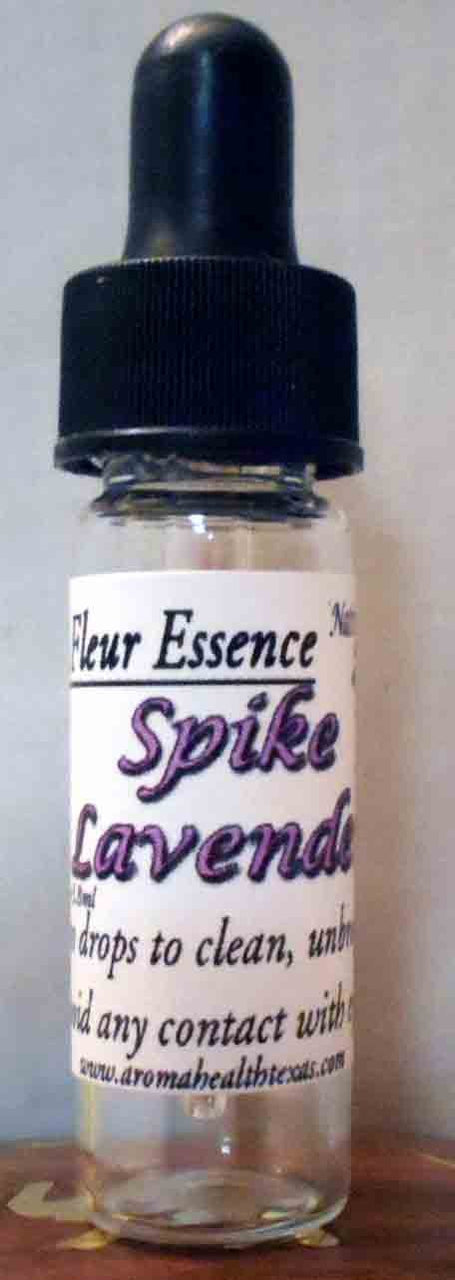 Spike Lavender,Lavendula latifolia Flower essence– Aroma Health Texas